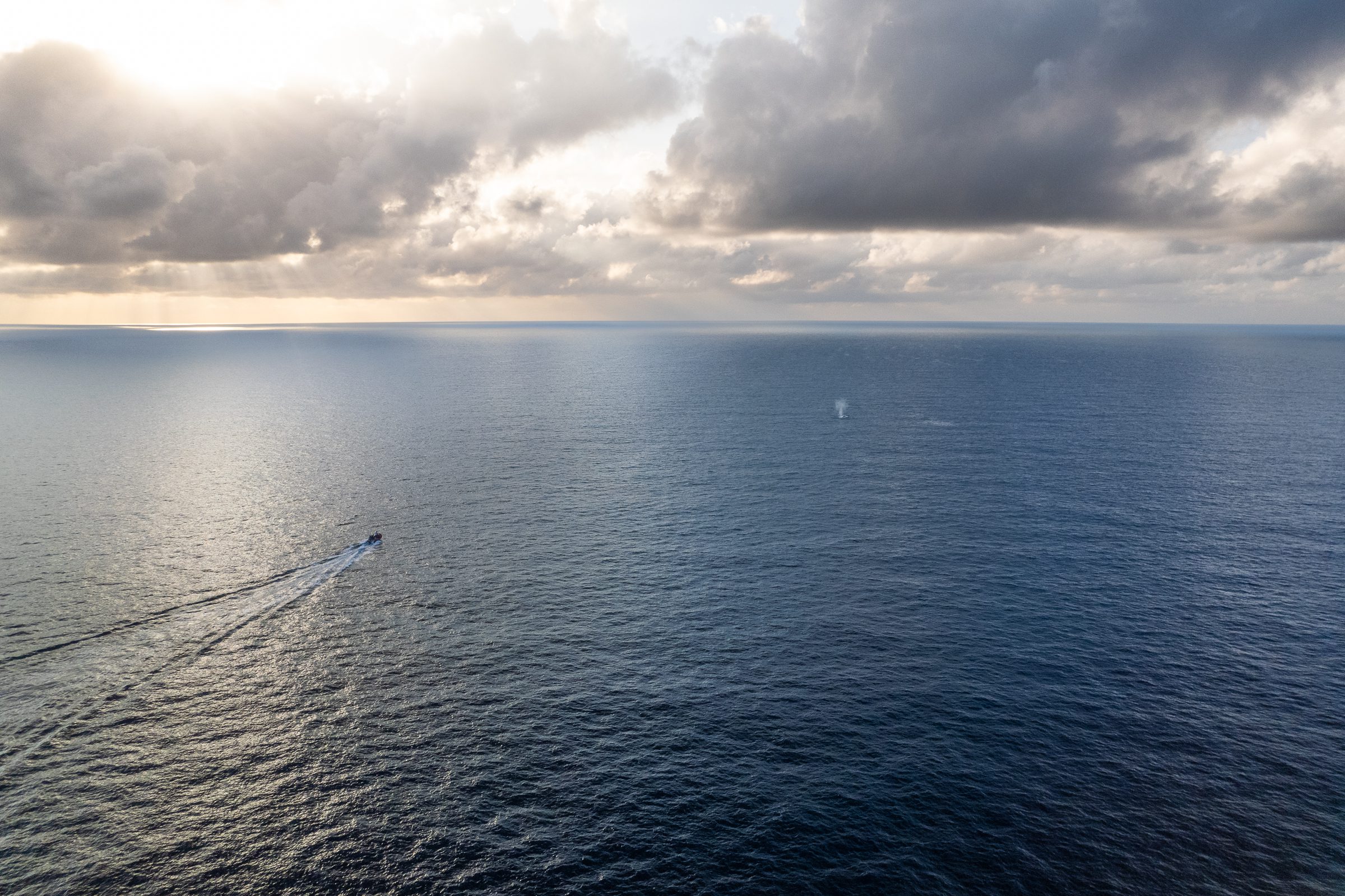 BANDA SEA & RAJA – Subculture Expeditions